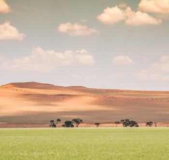 Kapstaden & Namibia | Magnifik öken och fantastisk kuststad ...